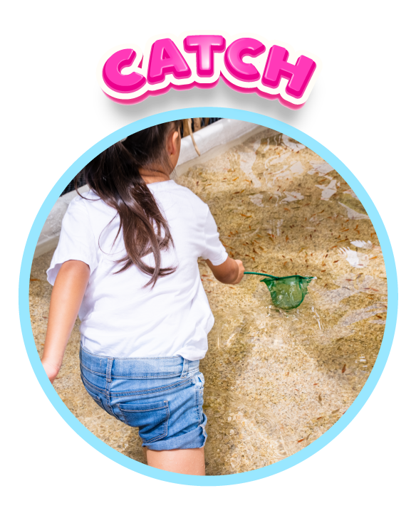 Bloop Bloop | Family Net Fishing
