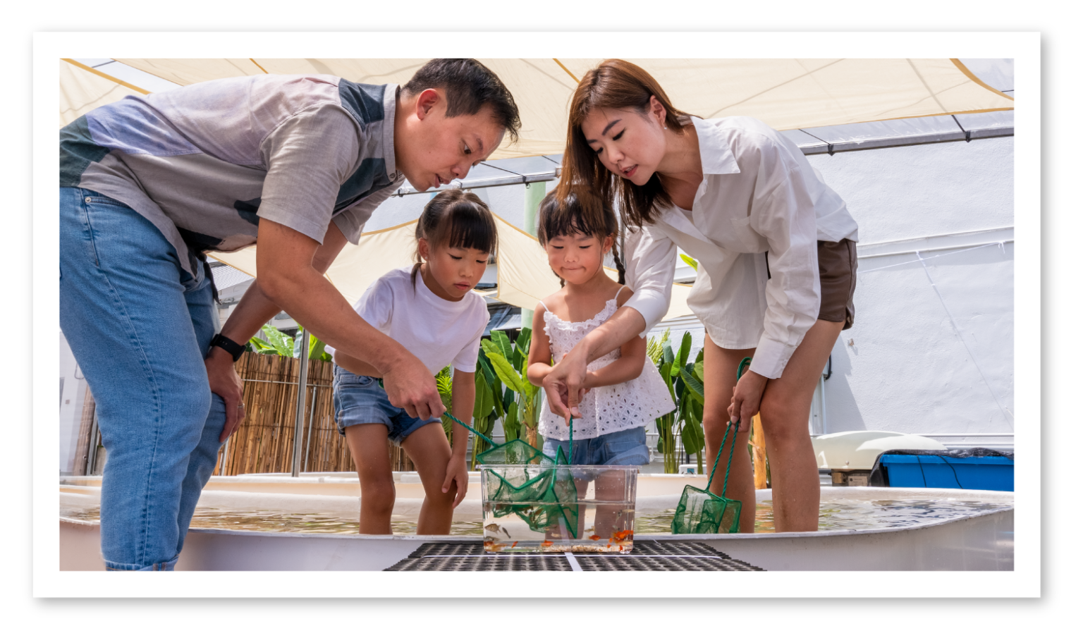 Bloop Bloop | Family Net Fishing